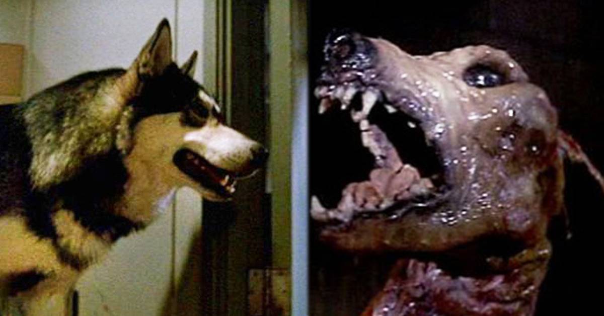 The Thing Dog Kennel Thing | The Thing | Fandom