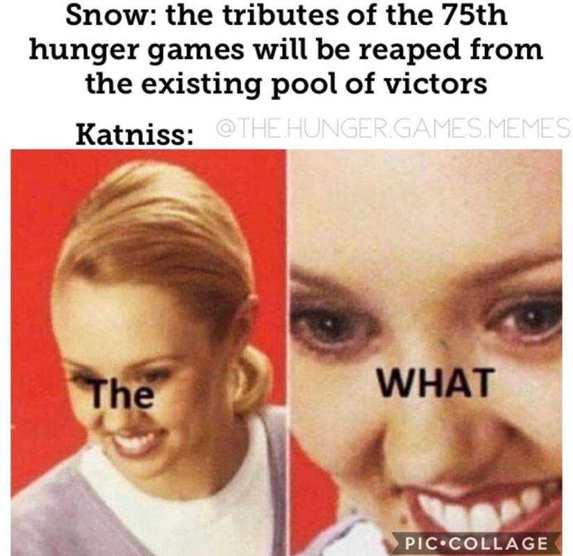 The Hunger Games: 10 Memes That Are Too Good To Forget