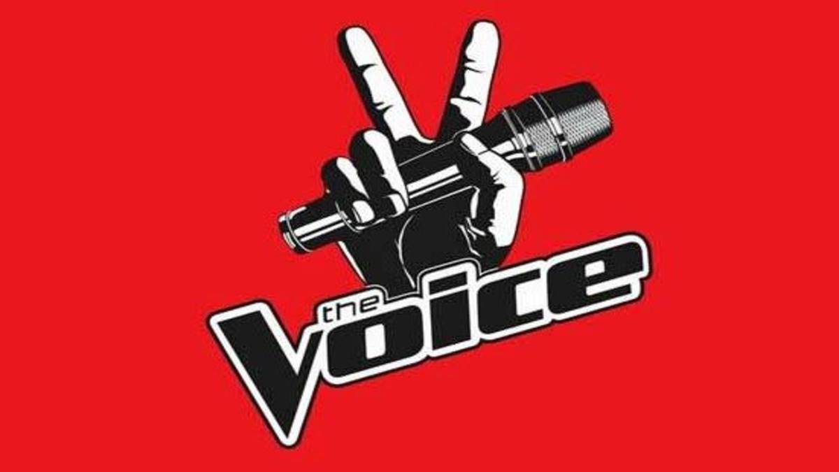 The Voice: Everything to Know About the Show's Backup Singers