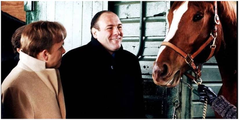 The Sopranos: All 6 Animal Symbols For Tony (& What They Mean)
