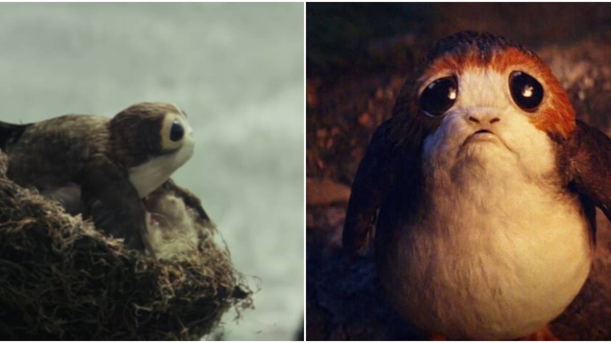 Star Wars: 10 Details About Porgs You Missed