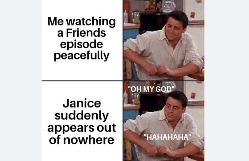 Friends: 10 Best Janice Memes
