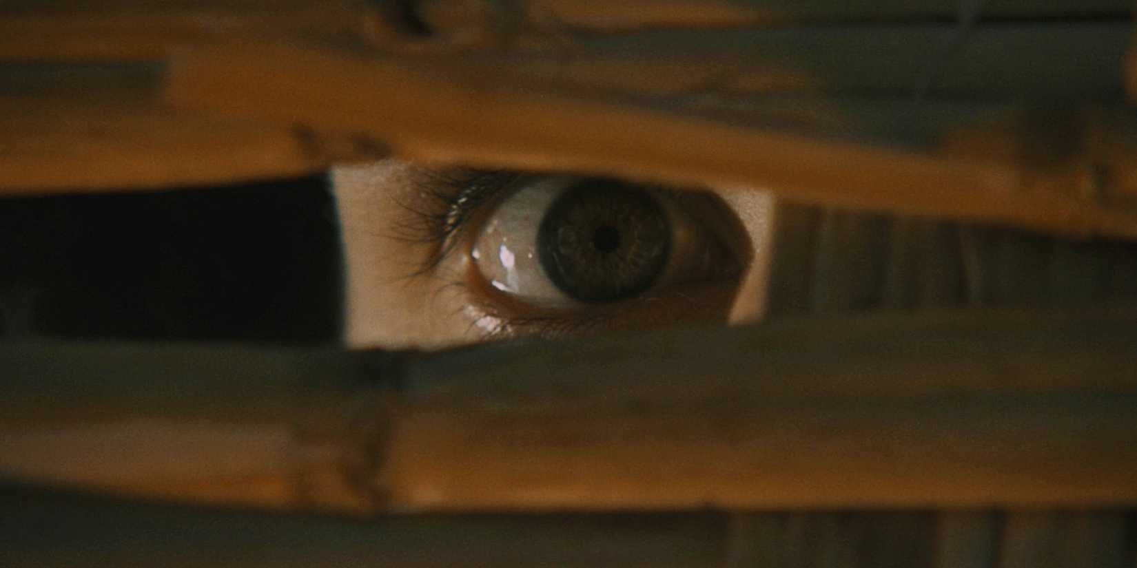 15 Extremely Brutal Slasher Horror Movies To Watch After In A Violent ...