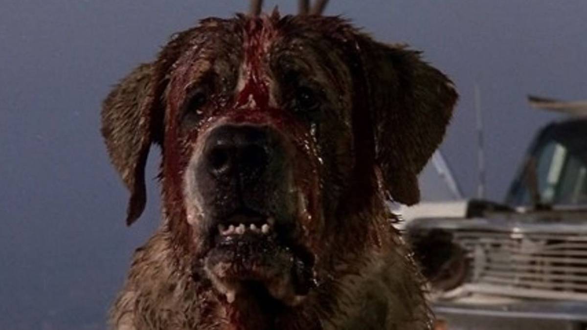 Cujo: Every Animal (& Human) Used In The Stephen King Movie Explained