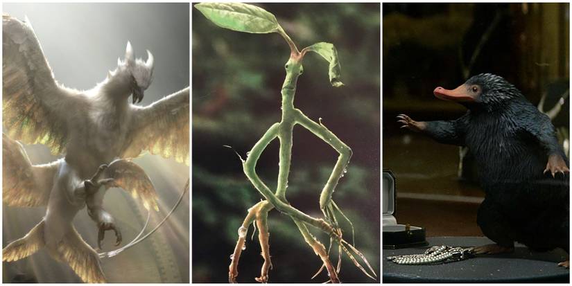Fantastic Beasts 3: Every New Magical Creature Confirmed (So Far)