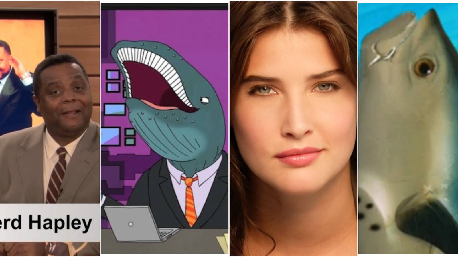 Parks & Rec's Perd & TV's 9 Other Funniest Reporters