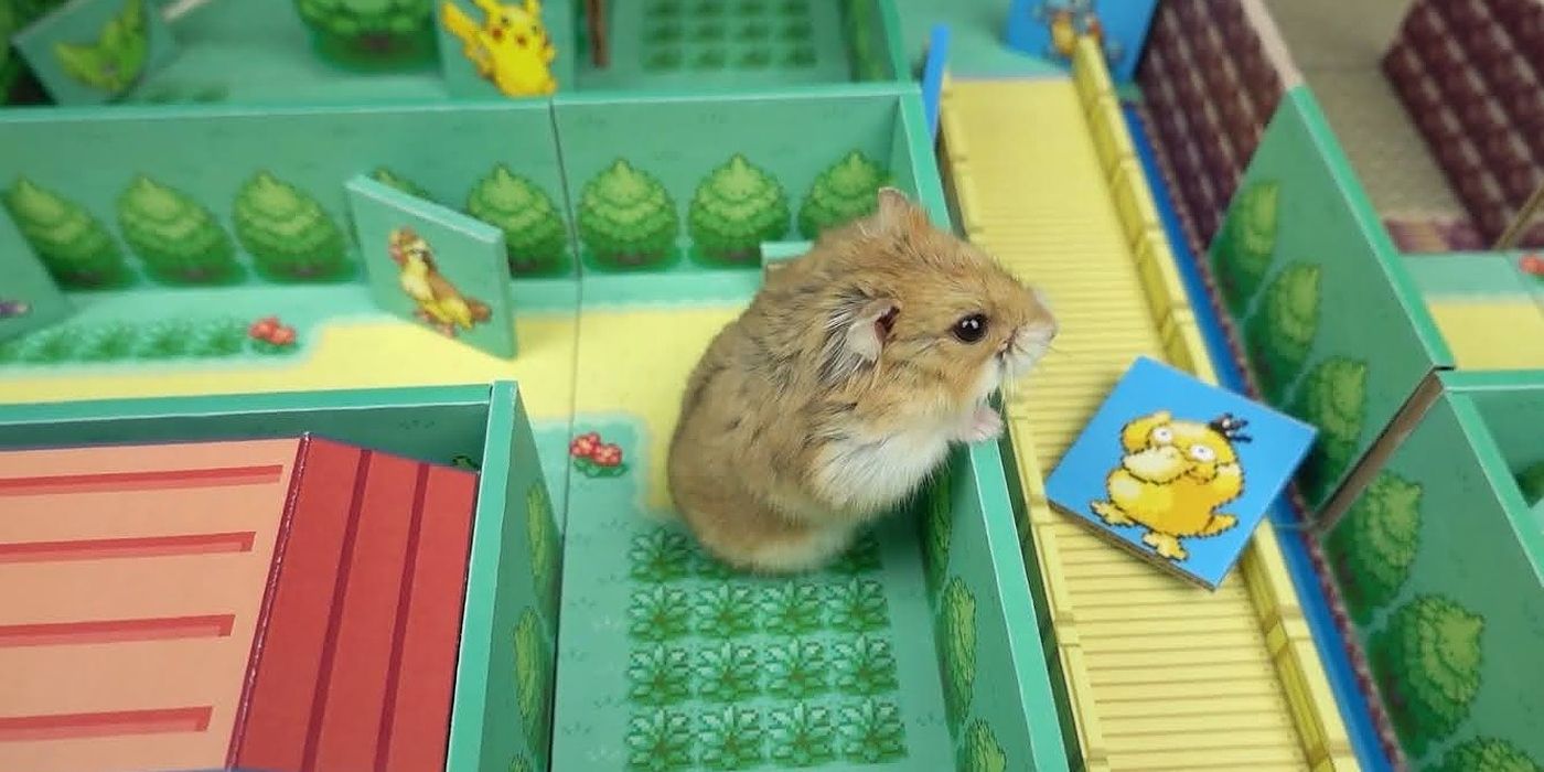 Pokémon Gen 1 Maze Designed For Hamster Revisits Classic Locations