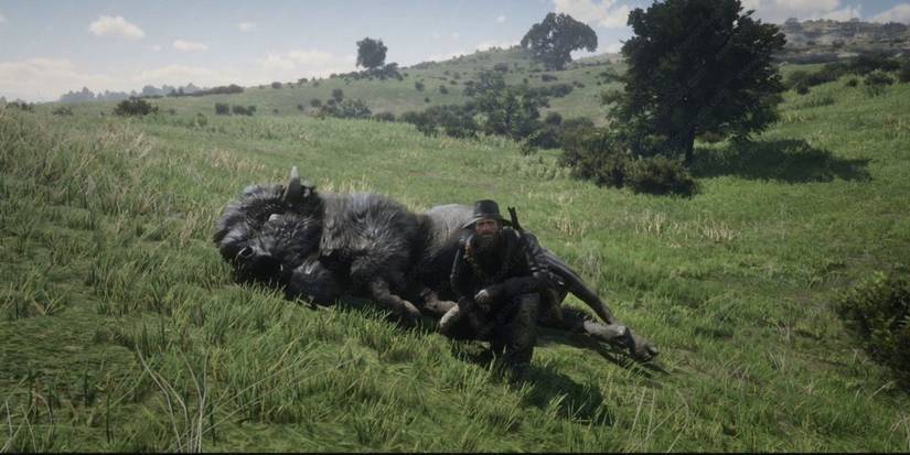 How to Get Perfect Pelts in Red Dead Redemption 2