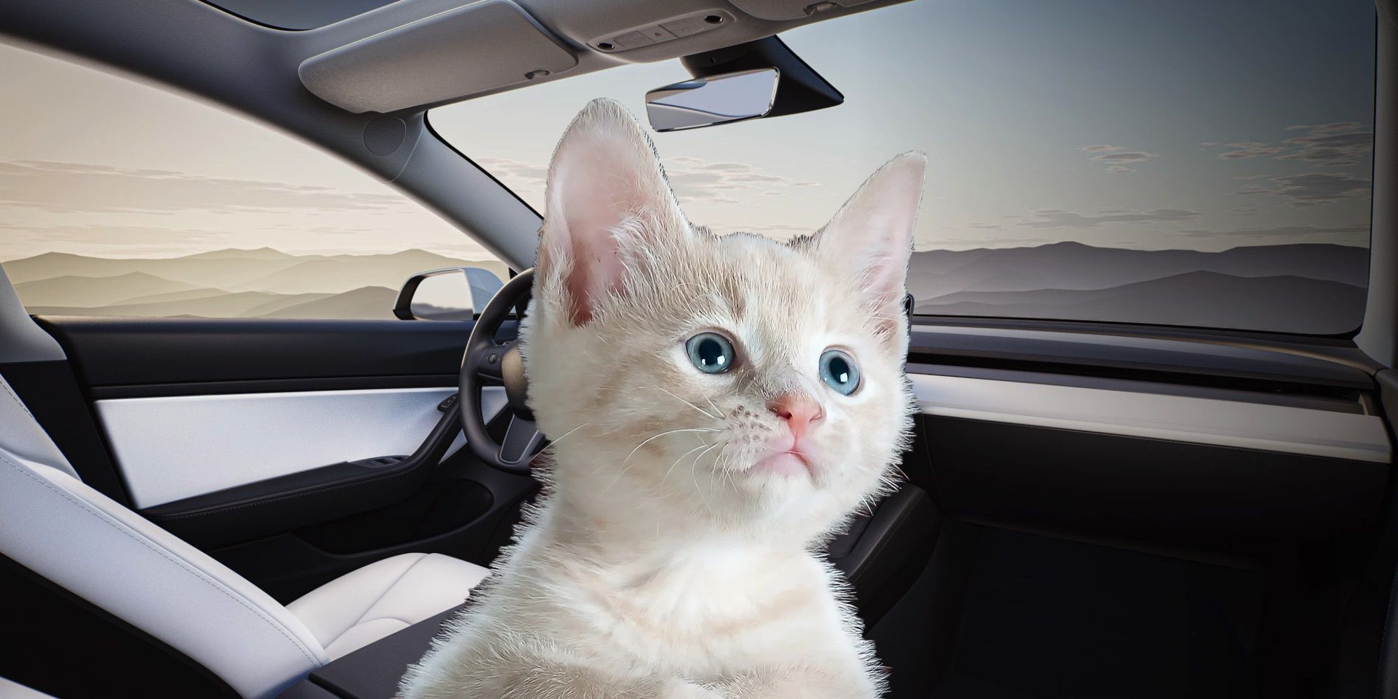 Why Elon Musk & Tesla Were Recently Blamed For Killing Cats