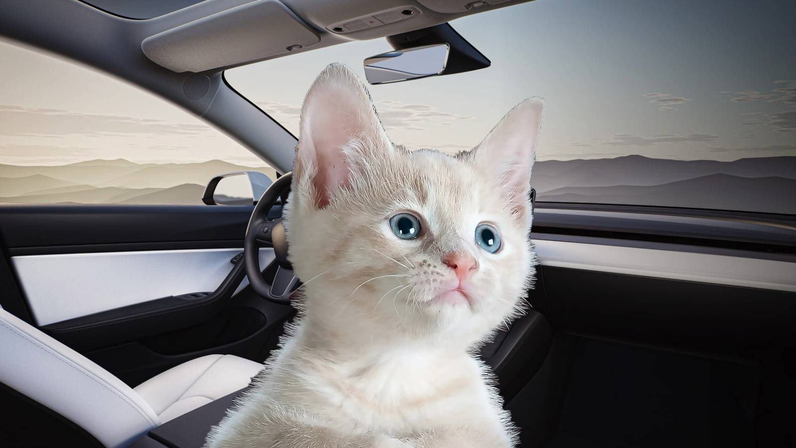Why Elon Musk & Tesla Were Recently Blamed For Killing Cats