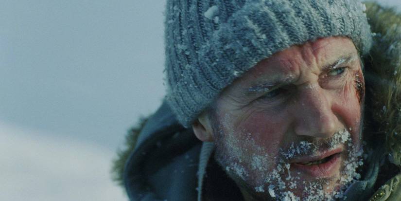 Liam Neeson's 10 Best Action Movies, Ranked