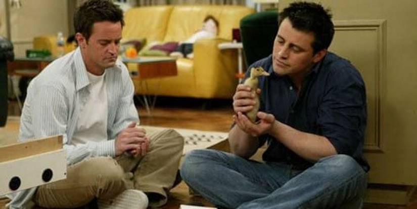 Friends: 10 Best Moments With The Chick & The Duck