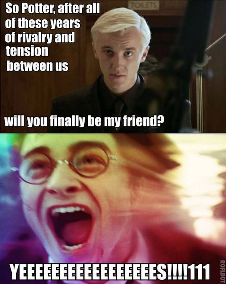 Harry Potter 10 Hilarious Draco And Harry Memes 6425