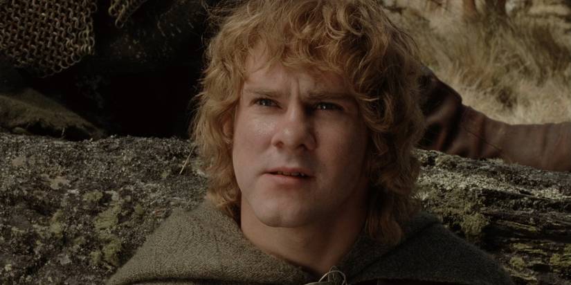 Lord of the Rings: What Each Fellowship Member Did Afterwards