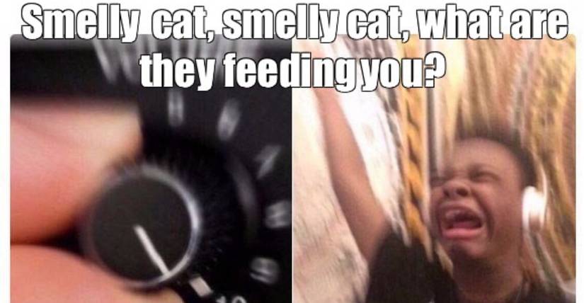 Friends: 10 Best Smelly Cat Memes