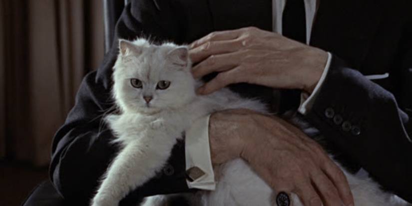 James Bond: 10 Best Ernst Blofeld Quotes