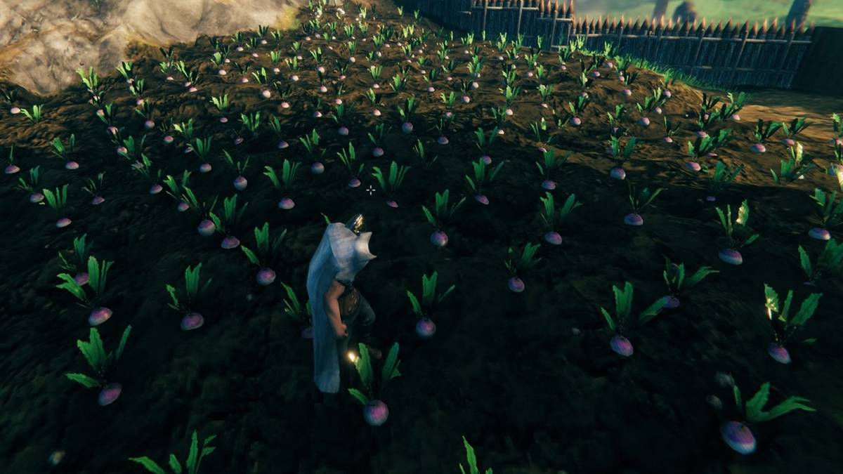 Valheim: Every Seed Players Can Plant & Grow