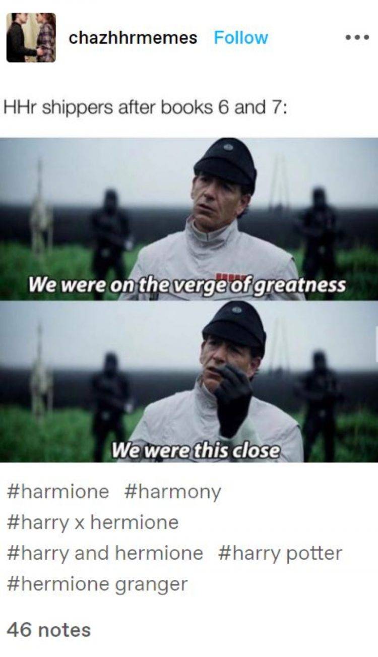 Harry Potter: The Best Harry/Hermione Ship Memes