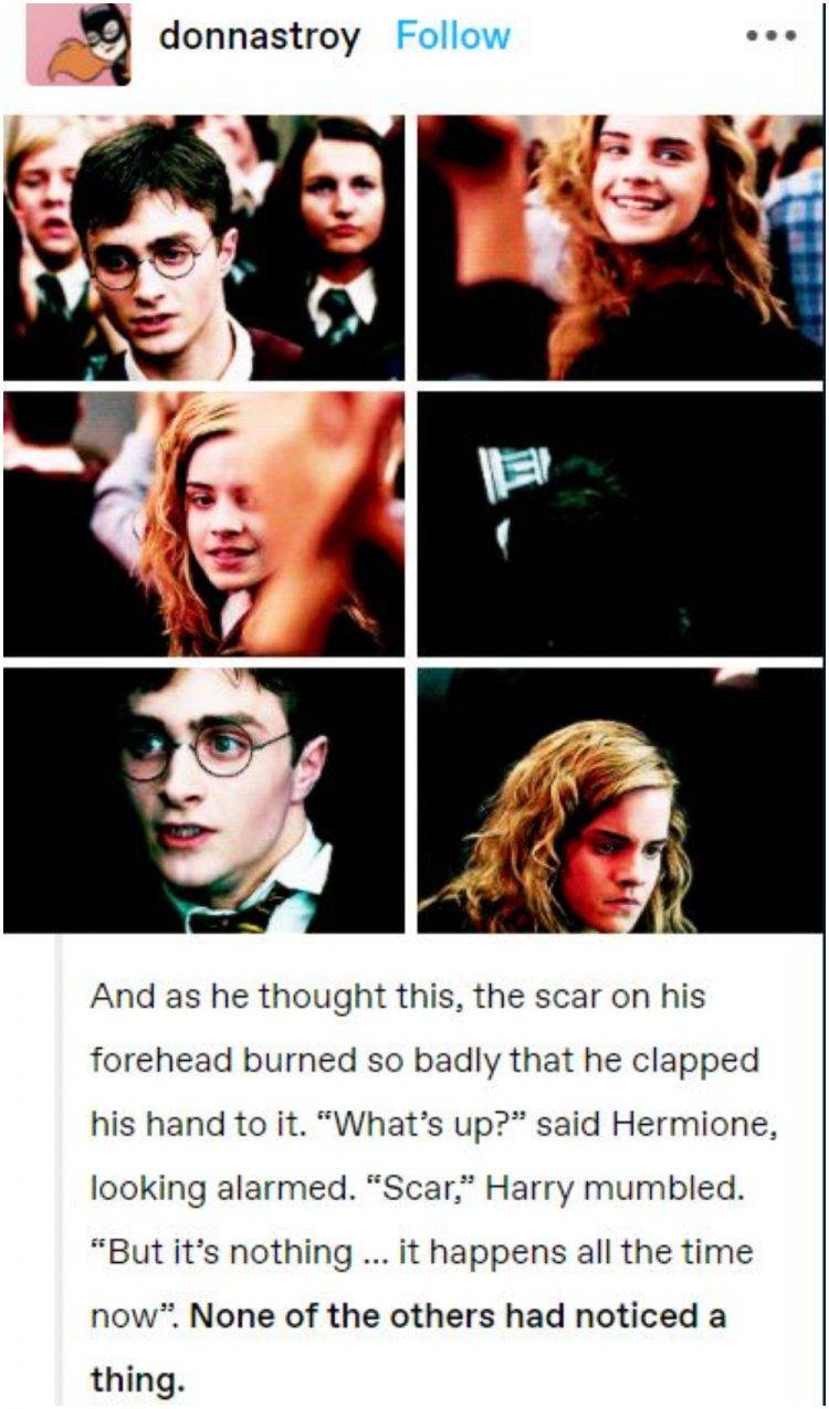 Harry Potter: The Best Harry/Hermione Ship Memes