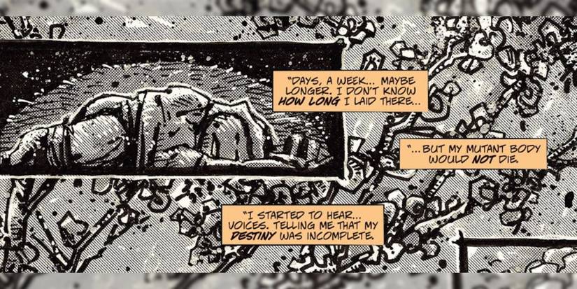 TMNT Last Ronin: Michelangelo's Tragic Transformation Revealed