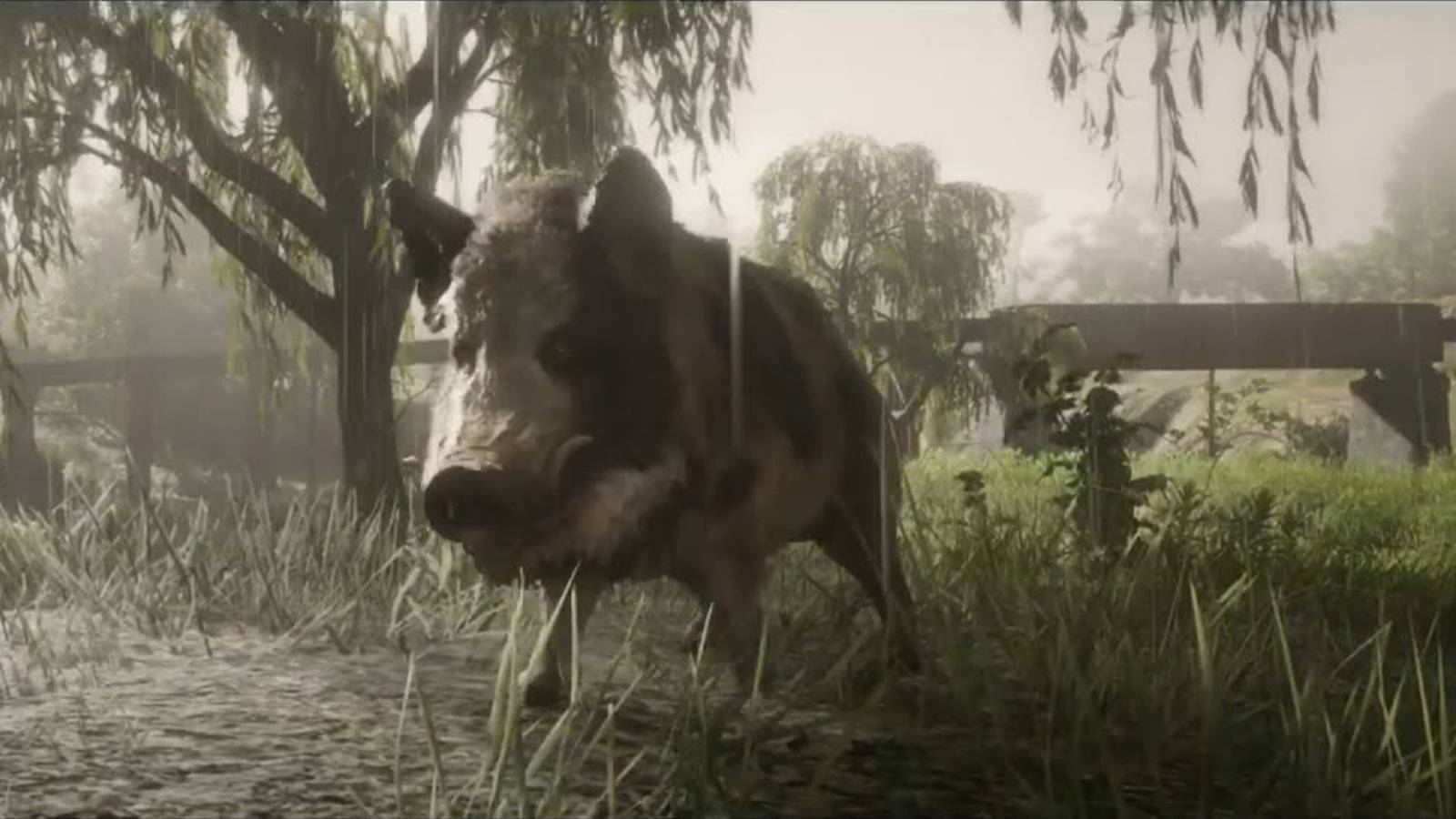 Where to Find The Legendary Icahai Boar Location in Red Dead Online