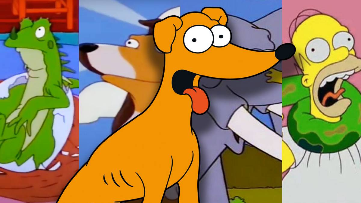 The Simpsons: All 23 Simpson Family Pets Explained