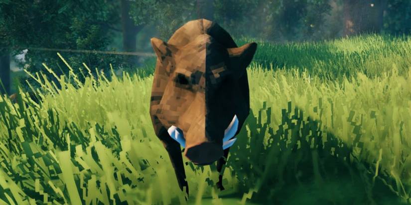 Valheim: How to Transport Animals Across the Ocean