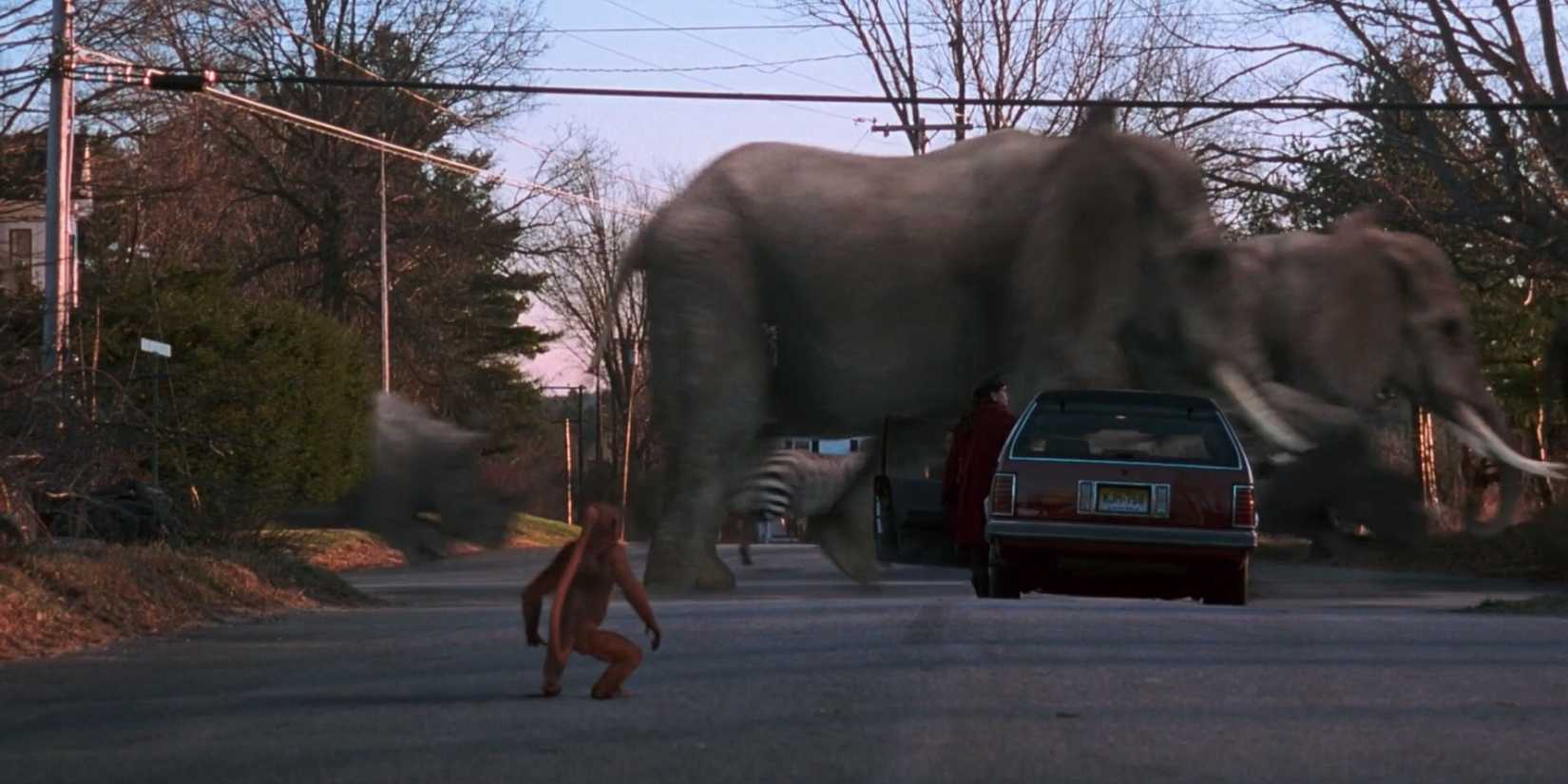 “I’m Flabbergasted By It”: Why Jumanji’s Original Stampede Scene Still ...