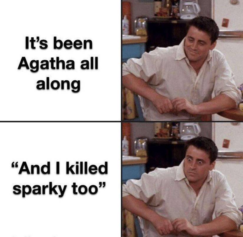 WandaVision: 10 Hilarious Agatha Harkness Memes