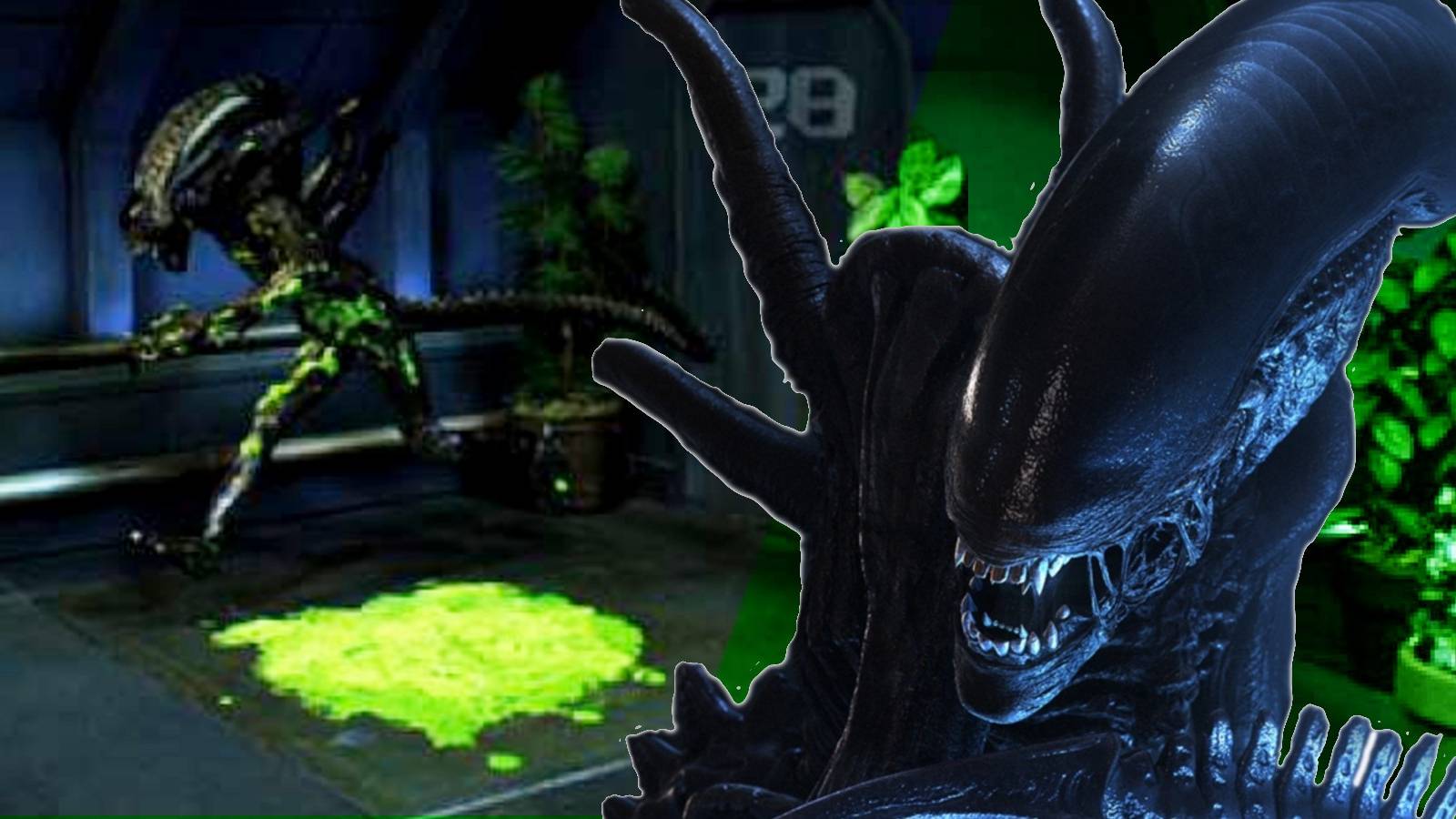 Alien: Robot Chicken Exposed The Xenomorph’s Acid Blood Issue