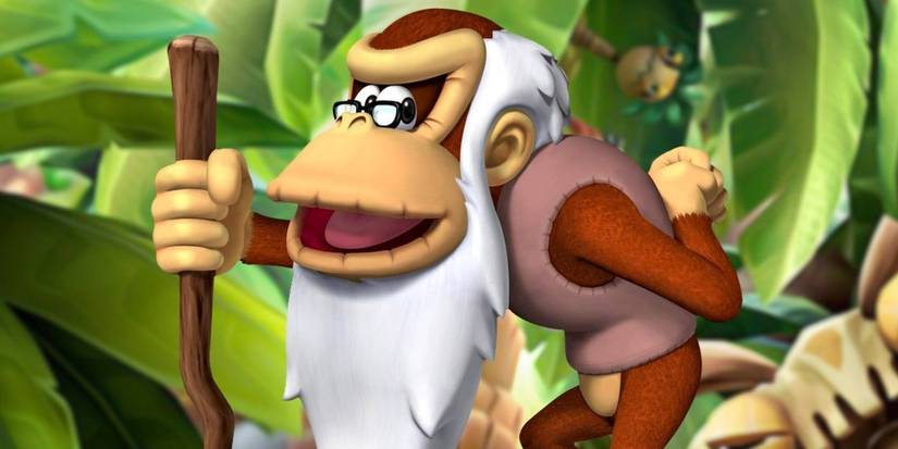 How Big Donkey Kong's Family Actually Is: All Kongs Explained