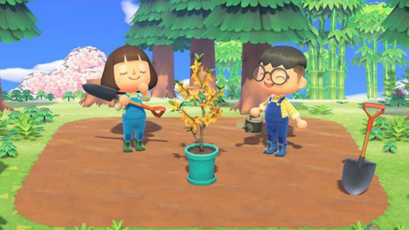 Animal Crossing: How To Get The Forsythia Plant