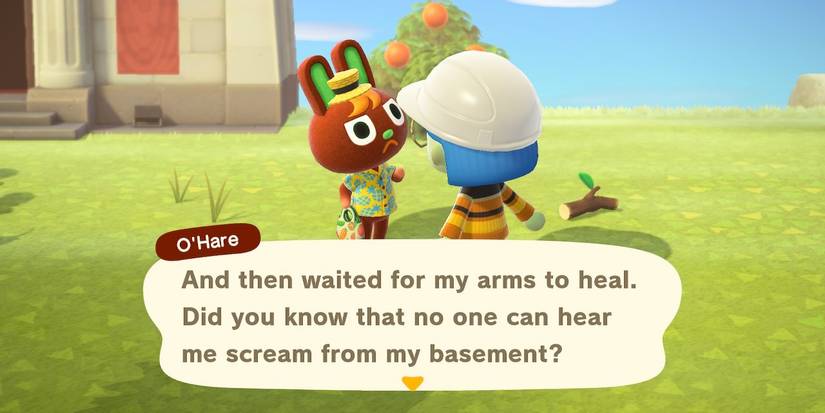 Animal Crossing Player Gets The Shock Of A Lifetime When One Of Their ...