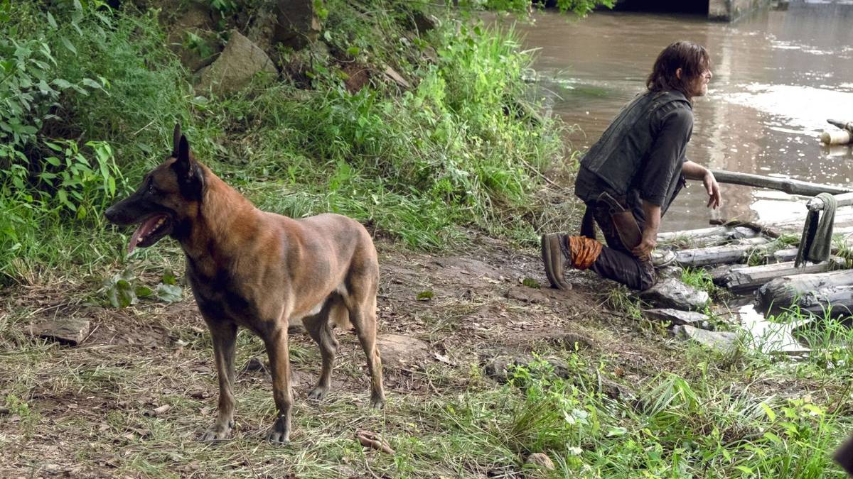 The Walking Dead Season 10 Clip Reveals The First Time Daryl Met Dog