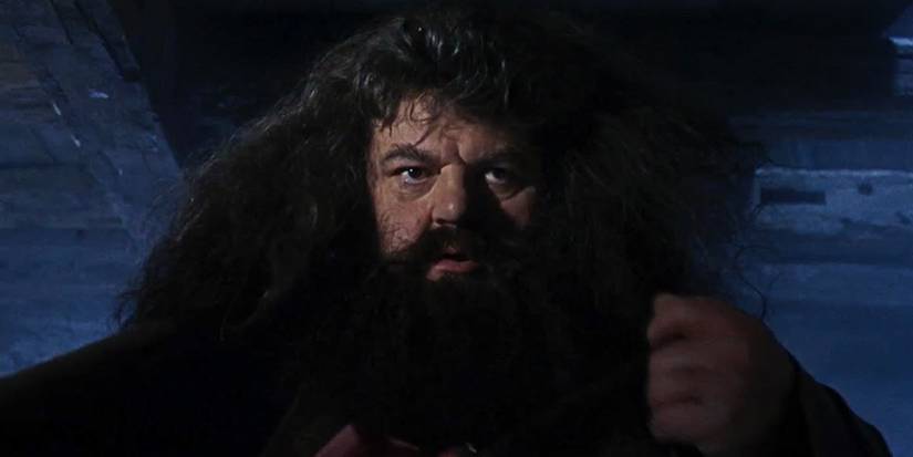 Harry Potter: Hogwarts Professors, Ranked Least To Most Evil