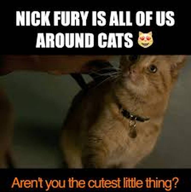 Nick Fury Meme Team