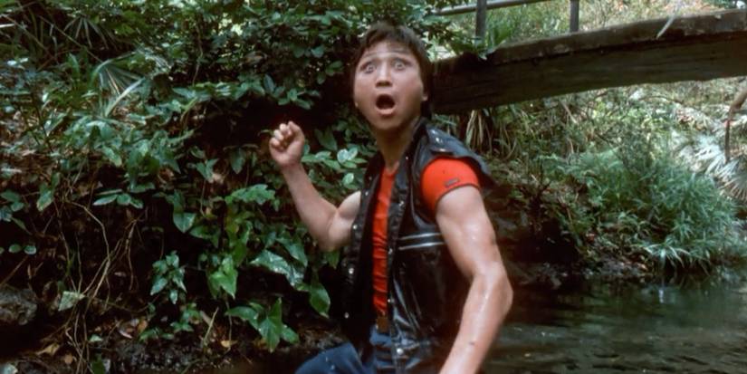 5 Ninja Movies That Were Great (& 5 That Were Totally Ridiculous)