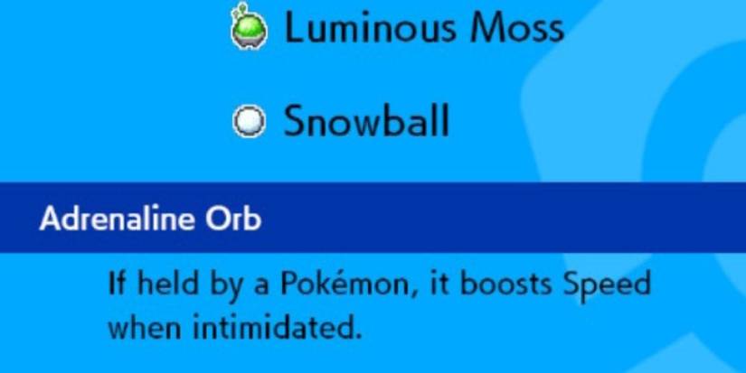 Pokémon Sword & Shield: 10 Obscure Items That Are Super Useful