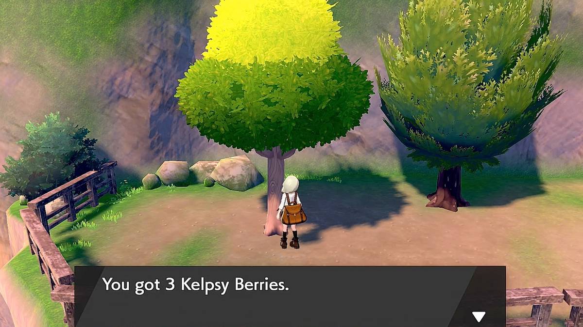 Pokémon: Every Berry In The Entire Pokémon Series, Explained