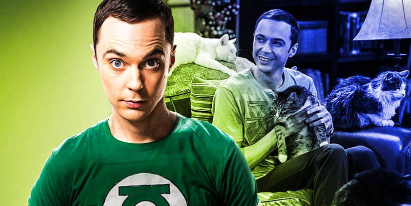 The Big Bang Theory Retcon Cured Sheldon's Cat Allergy
