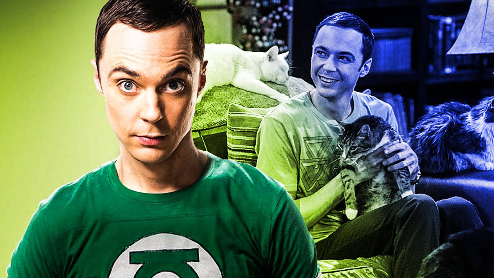 The Big Bang Theory Retcon Cured Sheldon's Cat Allergy
