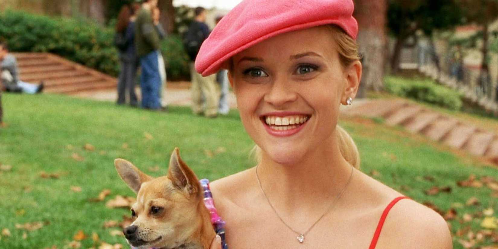 Legally Blonde 3: Confirmation, Cast, Story & Everything We Know