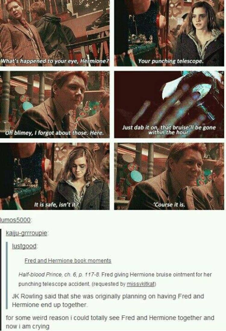 Harry Potter: 10 Best Fremione Ship Memes