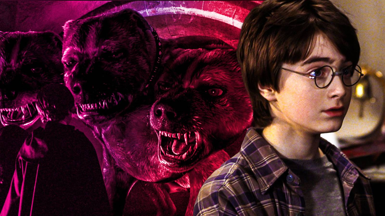 Harry Potter: What Happened To Fluffy After The Sorcerer’s Stone