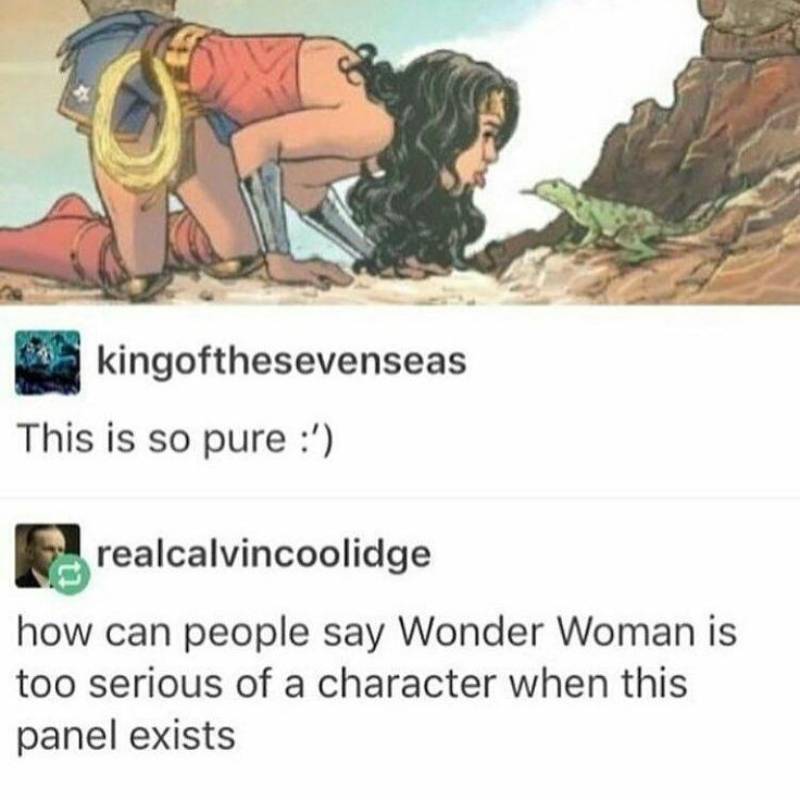 Wonder Woman: The 10 Most Hilarious Memes From The Comics