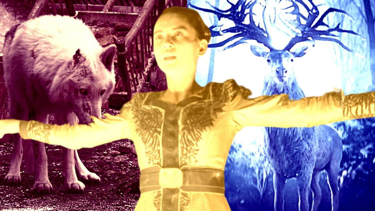 human shadow and bone