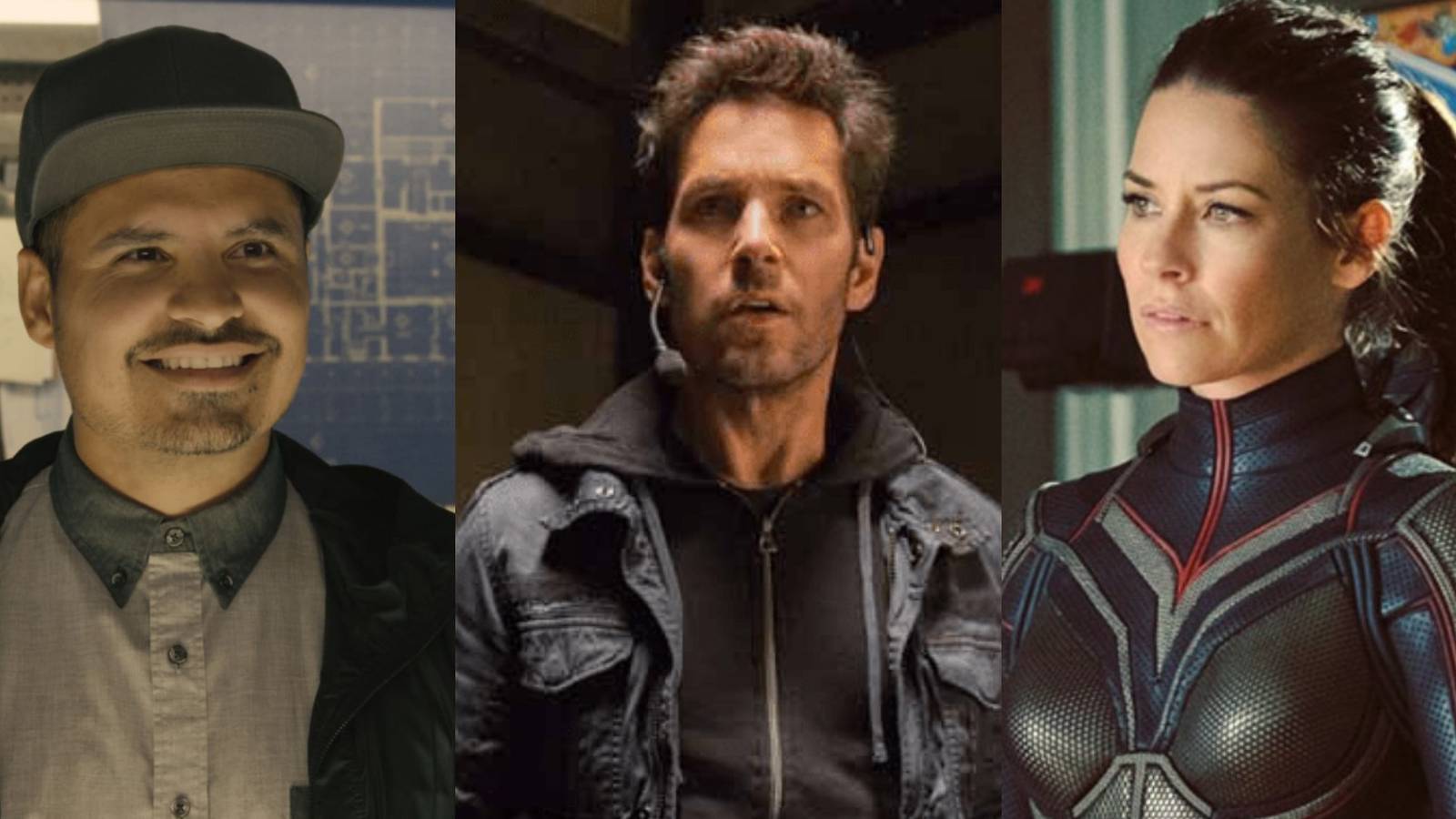 10 Best Ant-Man Movie Characters, Ranked By Likability