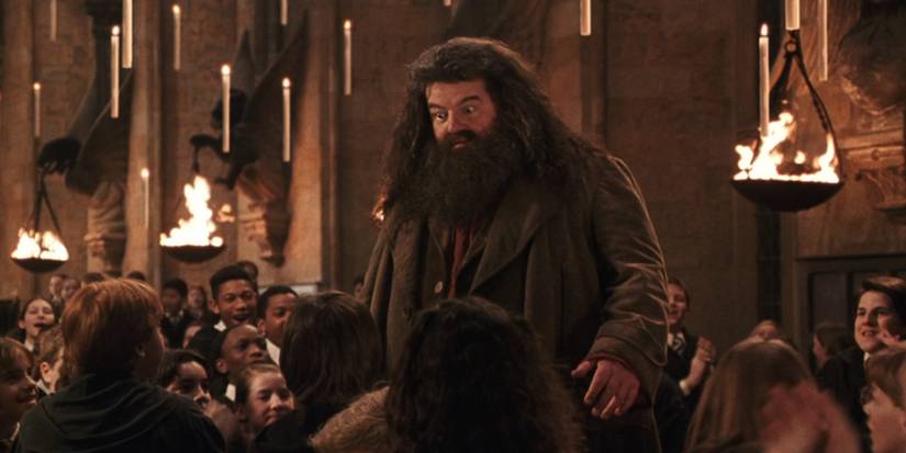 Harry Potter: 10 Most Magical Scenes In The Chamber Of Secrets