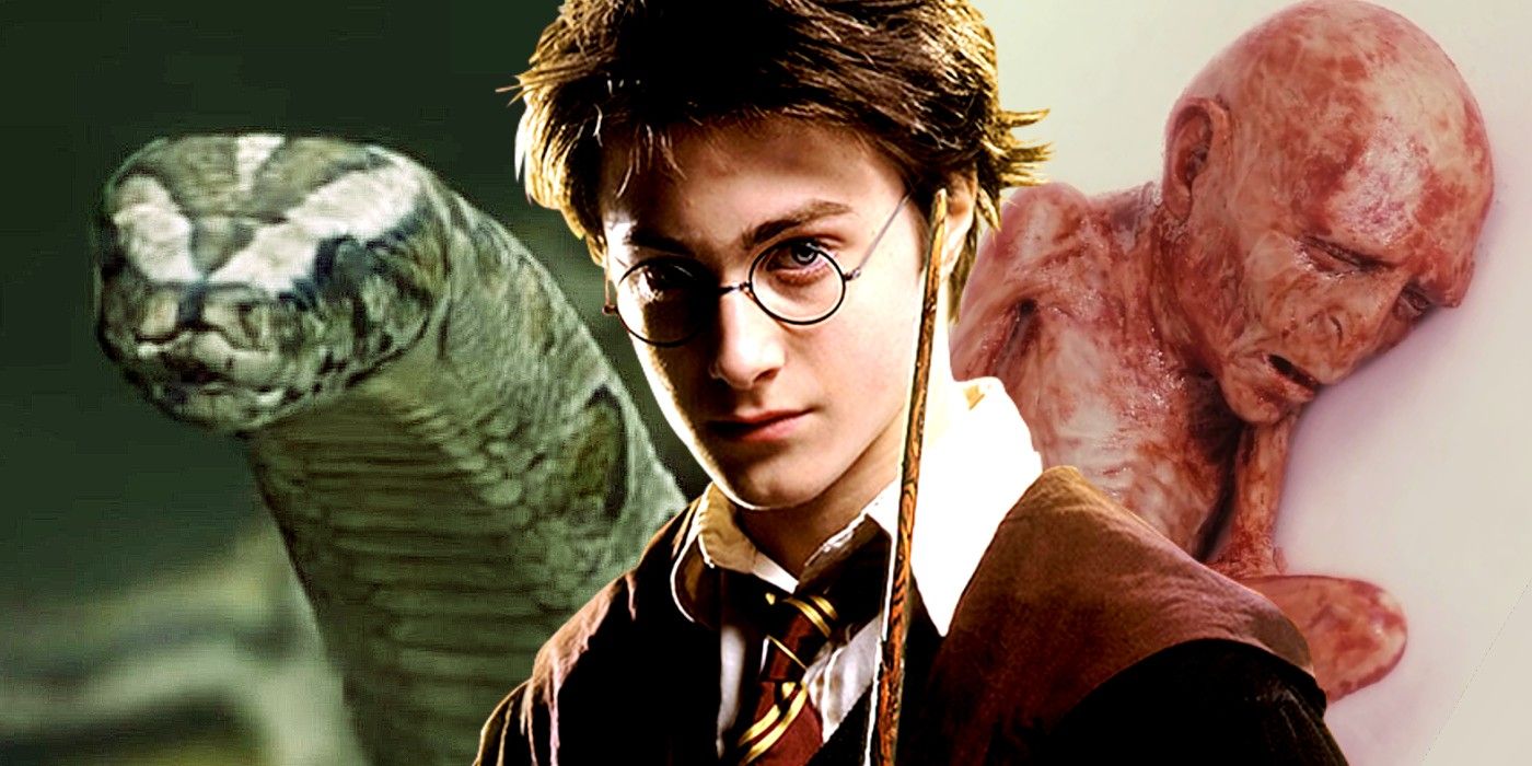 How Harry Potter Survived The Killing Curse in The Deathly Hallows