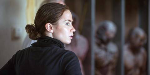 Sicario Summary, Trailer, Cast, Where to Watch and More